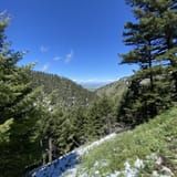 Truman Gulch Trail, Montana - 391 Reviews, Map | AllTrails