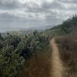 Forrestal Preserve Loop, California - 1,206 Reviews, Map | AllTrails