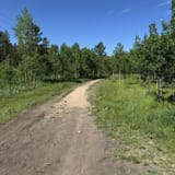 Disappointment Falls via Lady Moon Trail, Colorado - 829 Reviews, Map ...