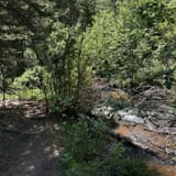 Disappointment Falls via Lady Moon Trail, Colorado - 829 Reviews, Map ...