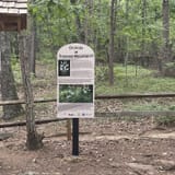 Indian Seats Trail, Georgia - 2,336 Reviews, Map | AllTrails