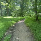 Cascade Falls Loop Trail, Maryland - 2,849 Reviews, Map | AllTrails