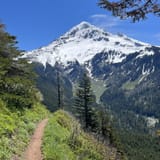 Top Spur and Timberline Loop, Oregon - 800 Reviews, Map | AllTrails