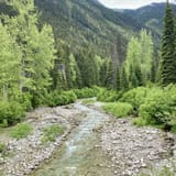 Loop Brook Trail, British Columbia, Canada - 251 Reviews, Map | AllTrails