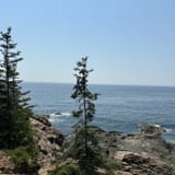 Ocean Path Trail, Maine - 3,554 Reviews, Map | AllTrails