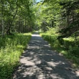 Ocean Path Trail, Maine - 3,554 Reviews, Map | AllTrails