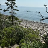 Ocean Path Trail, Maine - 3,554 Reviews, Map | AllTrails