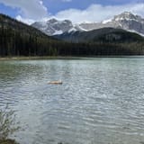 Karst Spring Trail, Alberta, Canada - 968 Reviews, Map | AllTrails