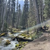 Karst Spring Trail, Alberta, Canada - 968 Reviews, Map | AllTrails