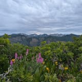 Emigration Canyon Ridgeline Trail, Utah - 378 Reviews, Map | AllTrails