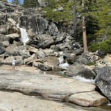 Bassi Falls, California - 3,268 Reviews, Map | AllTrails