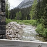 Loop Brook Trail, British Columbia, Canada - 251 Reviews, Map | AllTrails