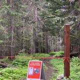 Loop Brook Trail, British Columbia, Canada - 251 Reviews, Map | AllTrails