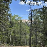 Raspberry Mountain Trail via Ring the Peak Trail, Colorado - 1,892 ...