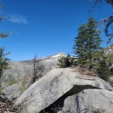Ralston Peak, California - 1,603 Reviews, Map | AllTrails