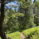 Mount Emily Recreation Area Loop, Oregon - 246 Reviews, Map | AllTrails
