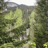 Loop Brook Trail, British Columbia, Canada - 251 Reviews, Map | AllTrails