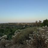 Fullerton Loop, California - 4,158 Reviews, Map | AllTrails