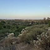 Fullerton Loop, California - 4,233 Reviews, Map | AllTrails