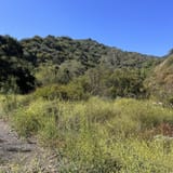 Sullivan Canyon Trail, California - 819 Reviews, Map | AllTrails