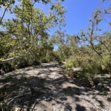 Sullivan Canyon Trail, California - 819 Reviews, Map | AllTrails