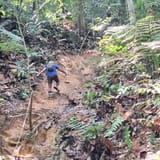 Bukit Dinding via Kazumi Trail, Kuala Lumpur, Malaysia - 205 Reviews ...