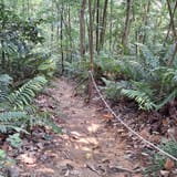 Bukit Dinding via Kazumi Trail, Kuala Lumpur, Malaysia - 205 Reviews ...