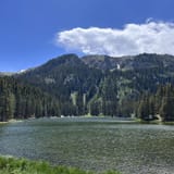 Middle Fork Lake Trail, New Mexico - 945 Reviews, Map | AllTrails