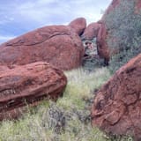 Kuniya Walk to Mutitjulu Waterhole, Northern Territory, Australia - 43 ...