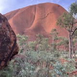 Kuniya Walk to Mutitjulu Waterhole, Northern Territory, Australia - 43 ...