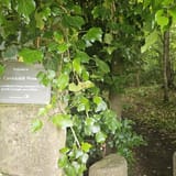 Beamish Park and Causey Arch Circular, County Durham, England - 495 ...