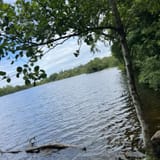 Bolam Lake and West Wood Circular, Northumberland, England - 75 Reviews ...