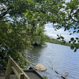 Bolam Lake and West Wood Circular, Northumberland, England - 75 Reviews ...