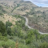 Mount Galbraith Loop via Cedar Gulch Trail, Colorado - 11,301 Reviews ...