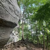 Raven Rock Loop Trail, North Carolina - 2,689 Reviews, Map | AllTrails