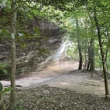 Raven Rock Loop Trail, North Carolina - 2,689 Reviews, Map | AllTrails