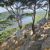 Weverton Cliffs, Maryland - 3,888 Reviews, Map | AllTrails