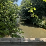 Box Hill Stepping Stones Walk, Surrey, England - 1,206 Reviews, Map ...