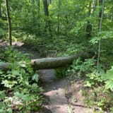 Durham Regional Forest Loop, Ontario, Canada - 76 Reviews, Map | AllTrails