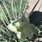 Elk Meadow, Colorado - 1,311 Reviews, Map | AllTrails