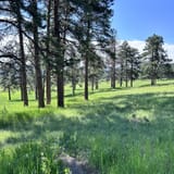 Elk Meadow, Colorado - 1,311 Reviews, Map | AllTrails