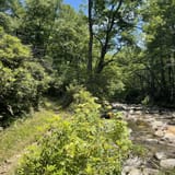 South Toe River Loop Trail, North Carolina - 431 Reviews, Map | AllTrails