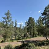 Ellison Creek Cascades, Arizona - 612 Reviews, Map | AllTrails