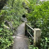 Mount Britton Tower Trail, Puerto Rico - 1,829 Reviews, Map | AllTrails