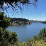 Lake Chabot Loop via West, Bass, Columbine, Honker, East Shore Trails ...