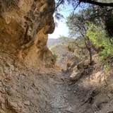 Palisade Rim Trail, Colorado - 1,576 Reviews, Map | AllTrails