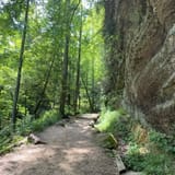 Natural Bridge and Laurel Ridge Trail Loop, Kentucky - 1,956 Reviews ...