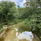 Spring Creek Nature Area Trail, Texas - 998 Reviews, Map | AllTrails