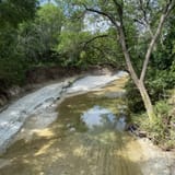 Spring Creek Nature Area Trail, Texas - 998 Reviews, Map | AllTrails