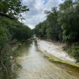 Spring Creek Nature Area Trail, Texas - 998 Reviews, Map | AllTrails